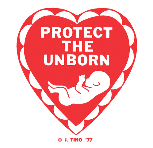 Car Decal "Protect the Unborn" #0502 | newhopeproject2