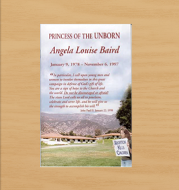 B0129 Princess of the Unborn/Angela Baird | newhopeproject2