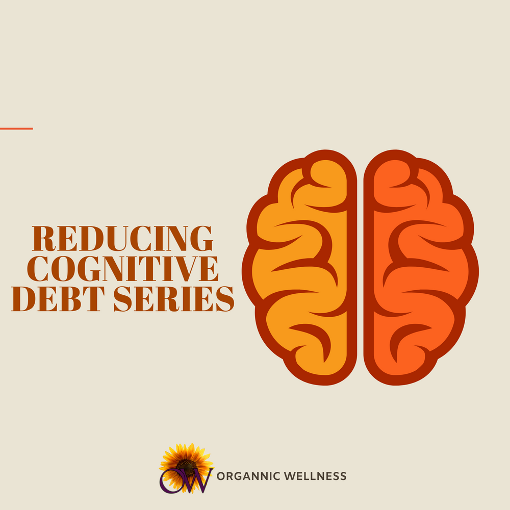 Reducing Cognitive Debt Series