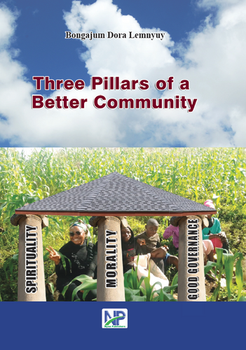 Three Pillars of a Better Community | Nyaa and Partners