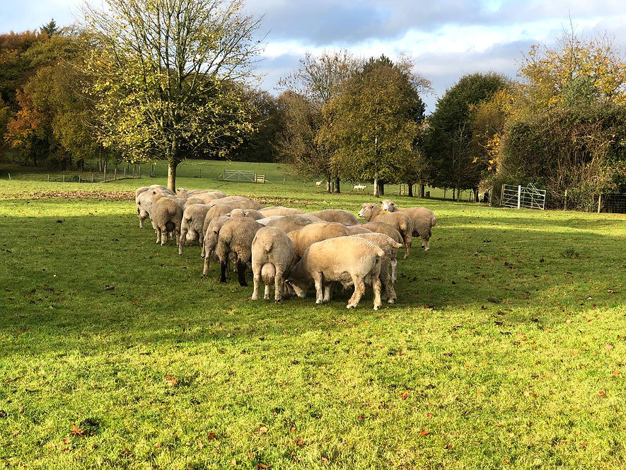 Eat Shop Stay | Country Estate Wales | Penllyn Estate Farm | Wales