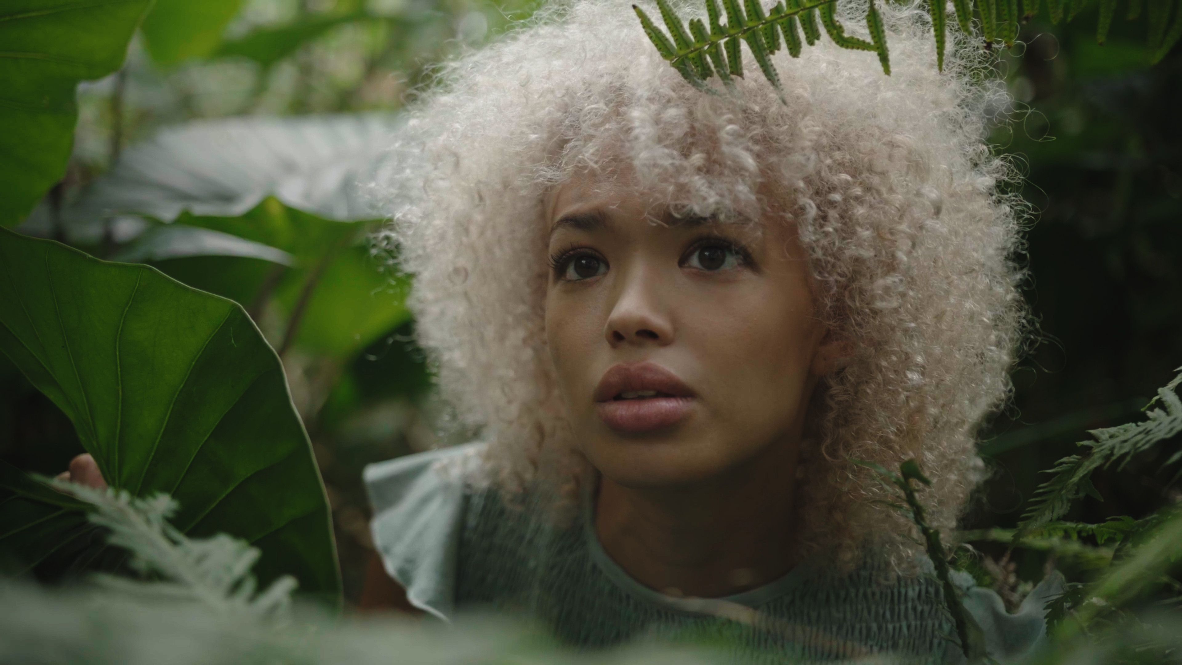 The Forest Review | Film Reviews