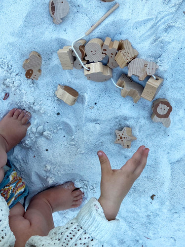 Wooden Animal Beads with Threading String and Tray | LETme Toys