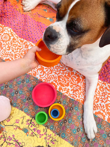 Wooden Nesting / Stacking / Sorting Bowls (Red Base) | LETme Toys