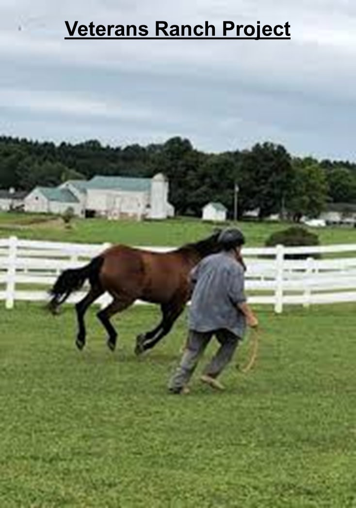 The McConnell Veterans Ranch