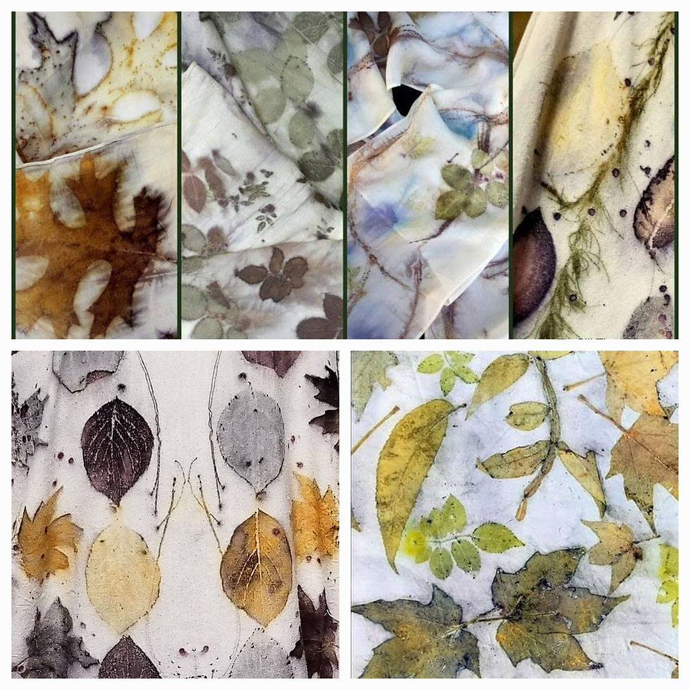 What Prints? Leaves and Plants for Ecoprinting Fun!