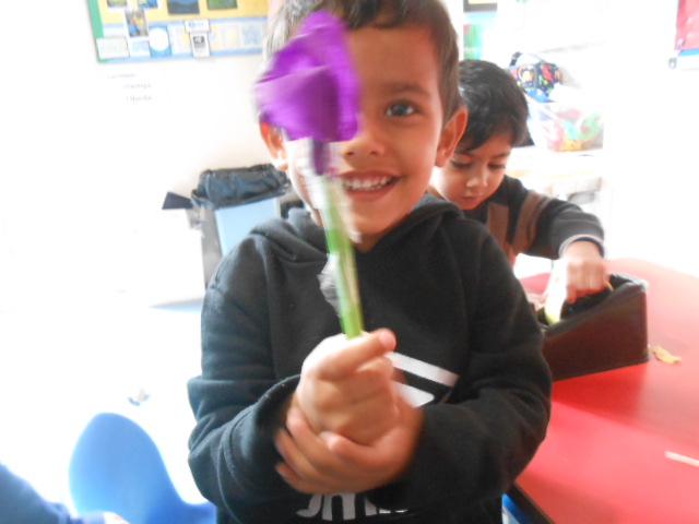 Healthy Body, Happy Me Week