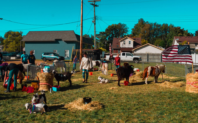 2022 Gallery | Huron Applefest