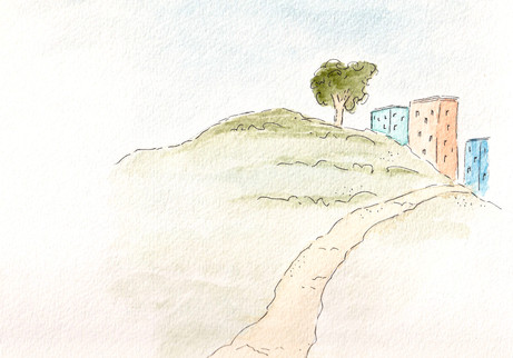 picture book author and illustrator / Jodi Shelton