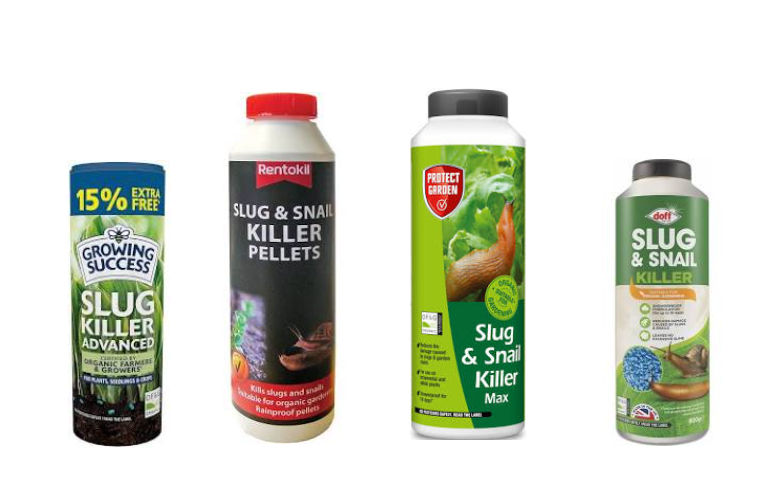 How to Stop Slugs Eating my Hostas: Effective Protection Methods