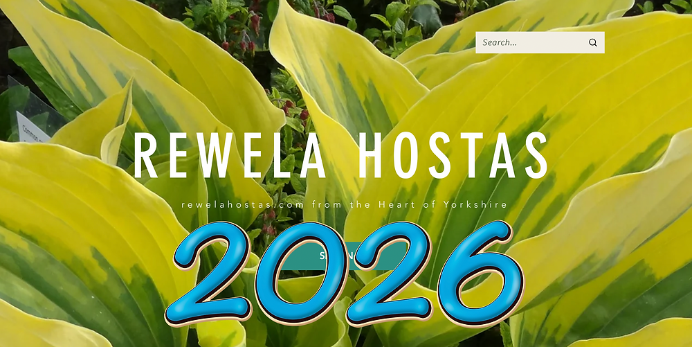 New Hostas And Our Special Collection 2026