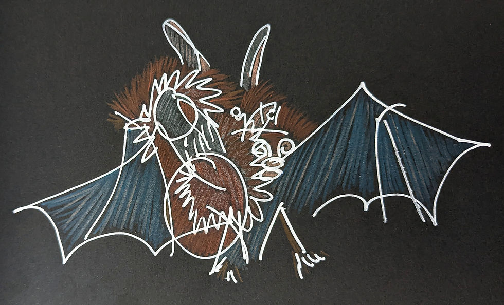 proprioceptive drawing by Sara Kian-Judge