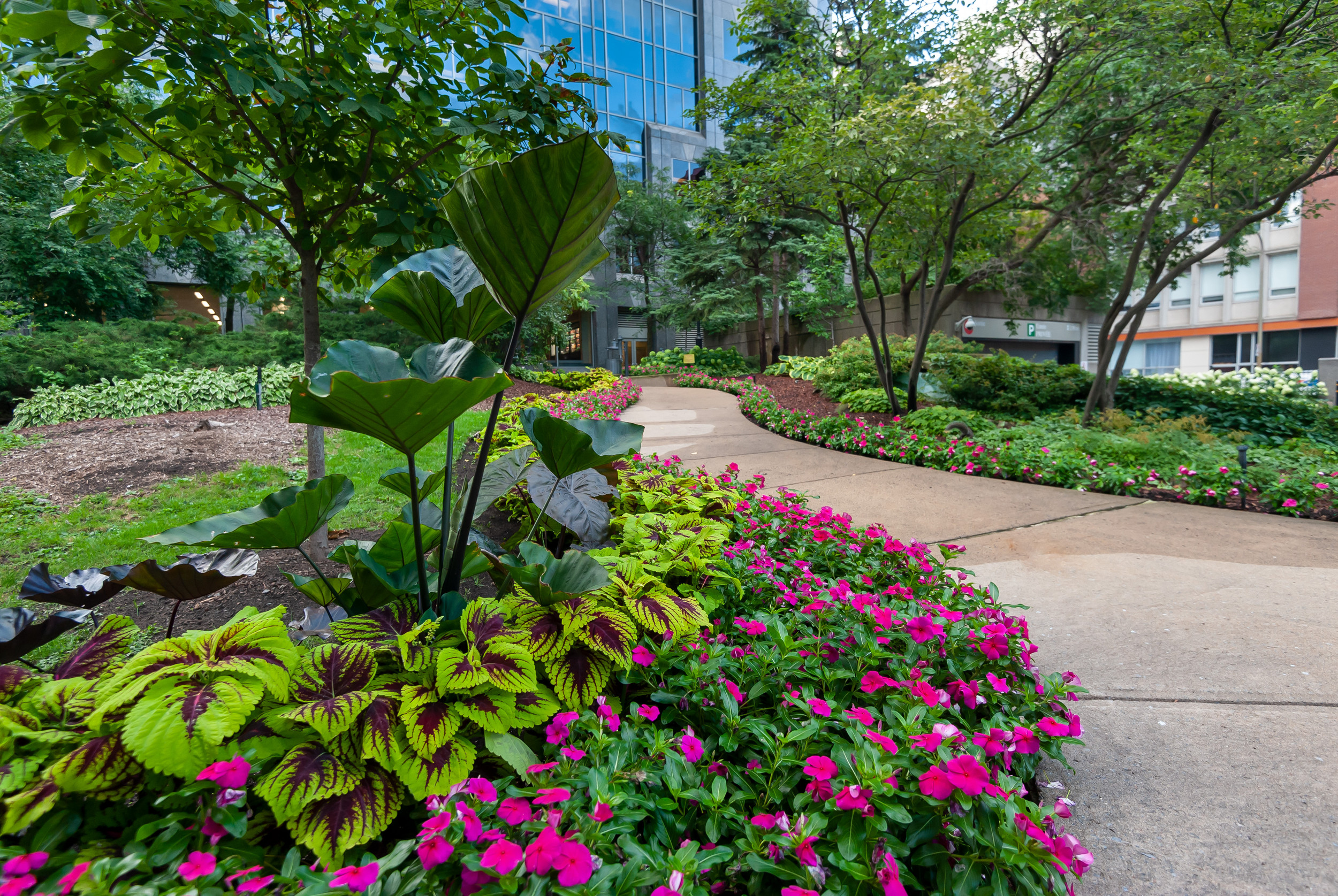 Felix Martin Gardens l Strathmore l Montréal