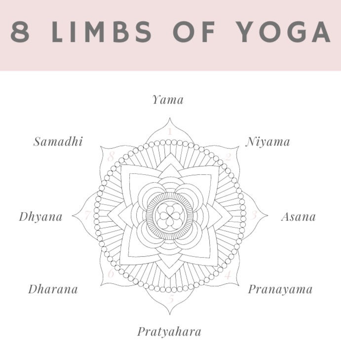 The 8 Limbs of Yoga