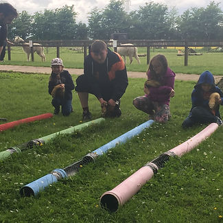 The Bucks Goat Centre Aylesbury