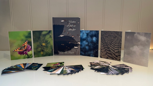 Tangen Studios - Max | Tangen Studios