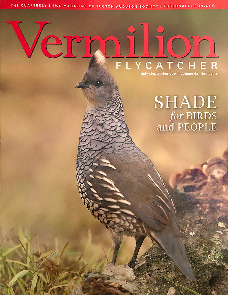 PUBLICATION COVERS | Alan Murphy Photography | Bird Watching