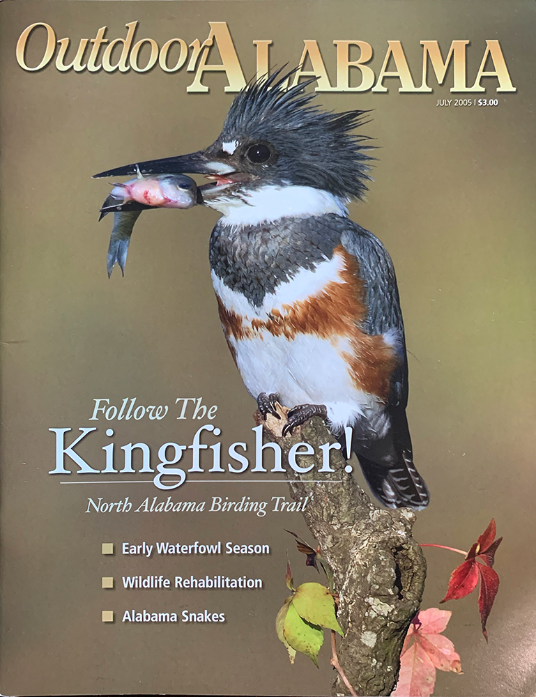 PUBLICATION COVERS | Alan Murphy Photography | Bird Watching
