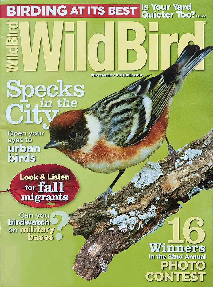 PUBLICATION COVERS | Alan Murphy Photography | Bird Watching