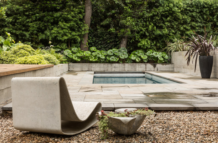 BROOKTREE | Rob Steiner Gardens