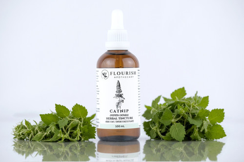 Catnip Tincture | Flourish Apothecary