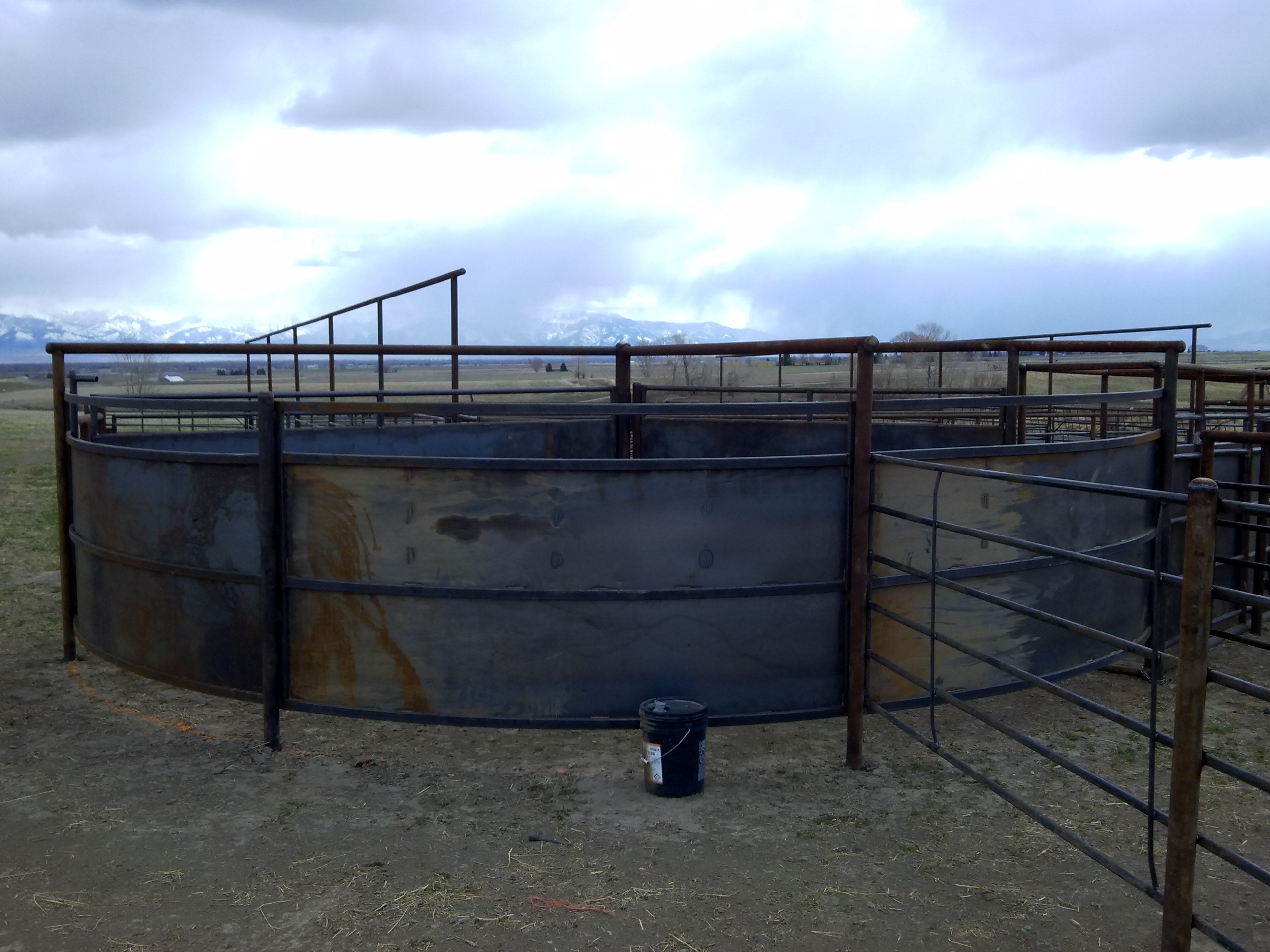 Cattle Working & Livestock Equipment|MountainView Metalworks