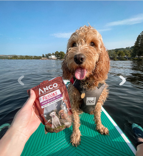 Anco Training Treats | Simply Animals