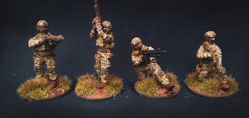 Future Commando Force, Royal Marines, Section Team with command(12 ...