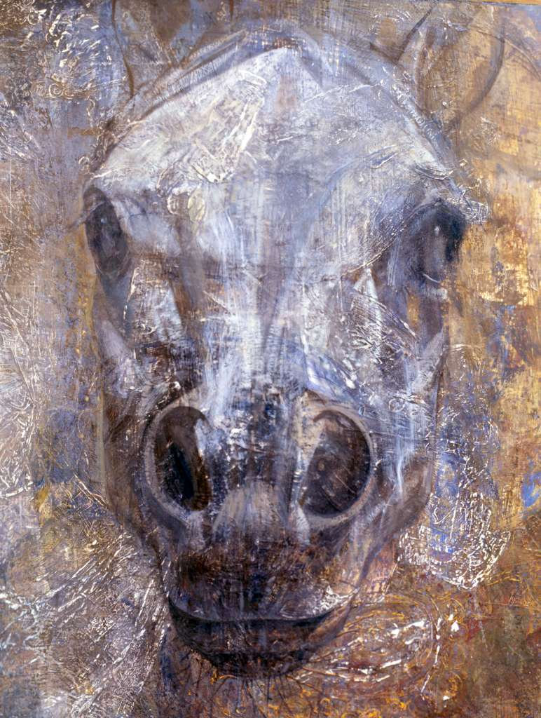 Study of Grey | Emma Sergeant