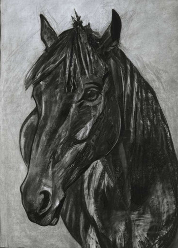 England Rules | Emma Sergeant