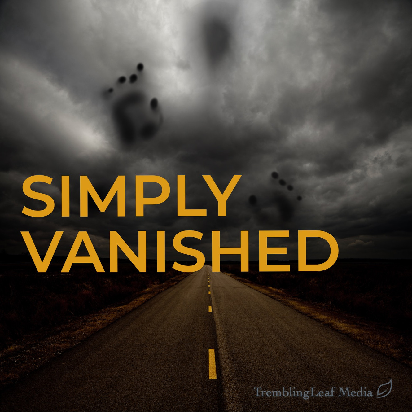 Simply Vanished | Cases