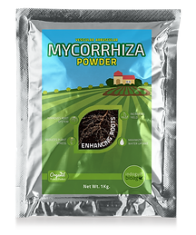 Root Enhancer | Indogulf BioAg