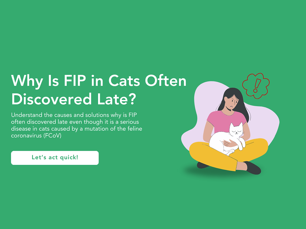 Why Is FIP in Cats Often Discovered Late? Understand the Causes and ...