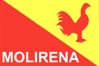 Partido Molirena