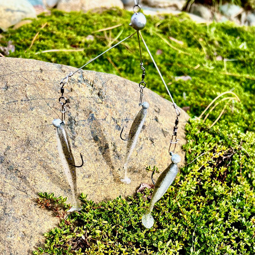 Micro-Rig | Lost Coast Pirates