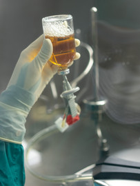 Nossos Produtos | Hipolabor