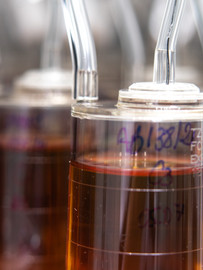 Nossos Produtos | Hipolabor