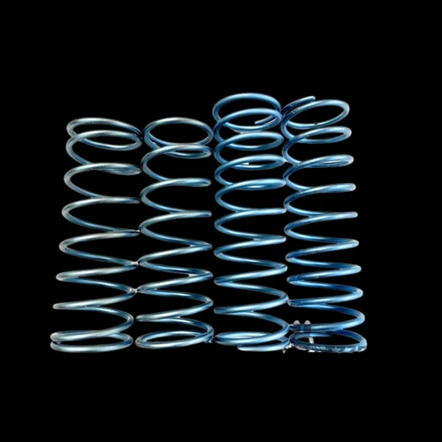 Tzz complete upgraded Titanium shock spring set | DetroitPerformanceRC
