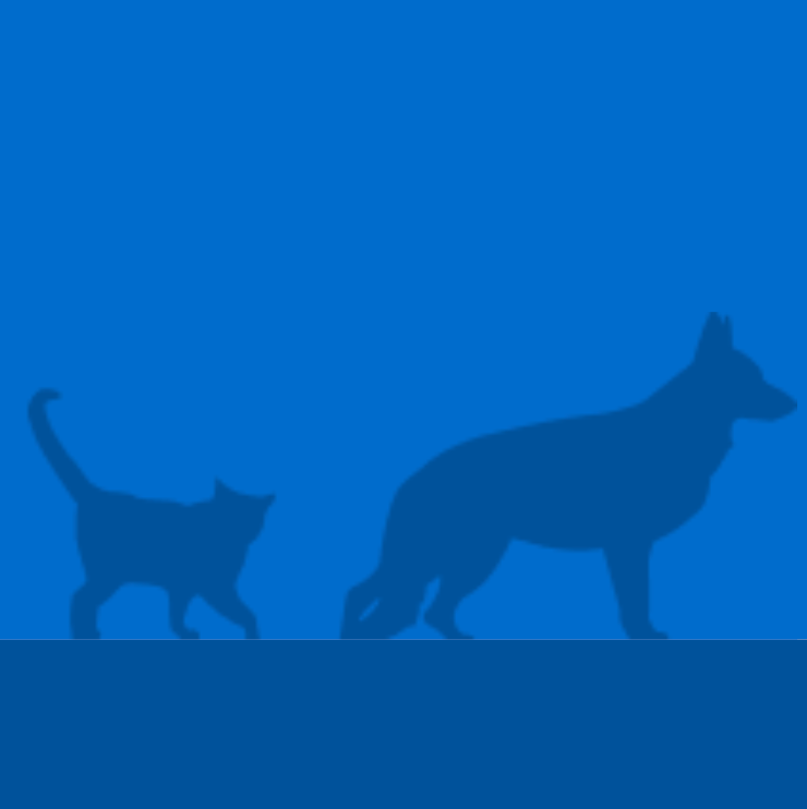 VetTech Servicing and Support | Vet Trade