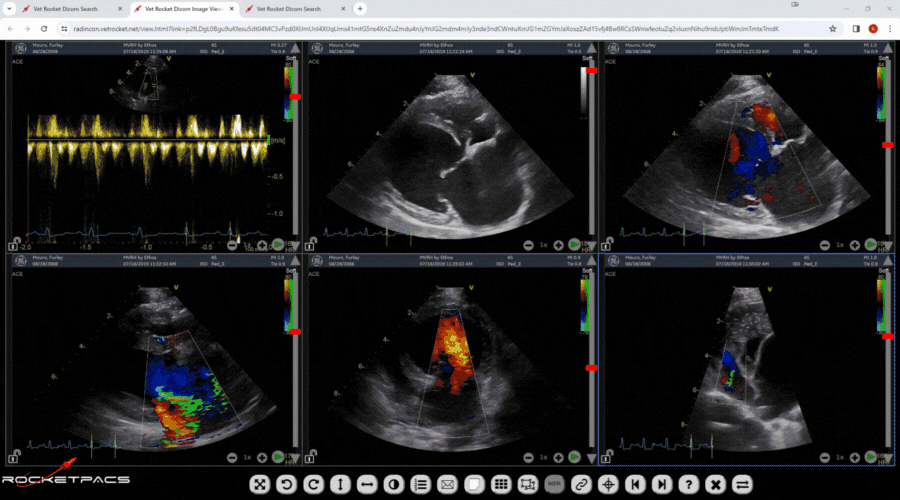 A complete HTML5 Cloud based DICOM PACS solution | Vet Trade