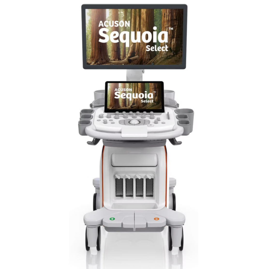 Acuson Sequoia Select Ultrasound System | Siemens Healthineers | Vet Trade