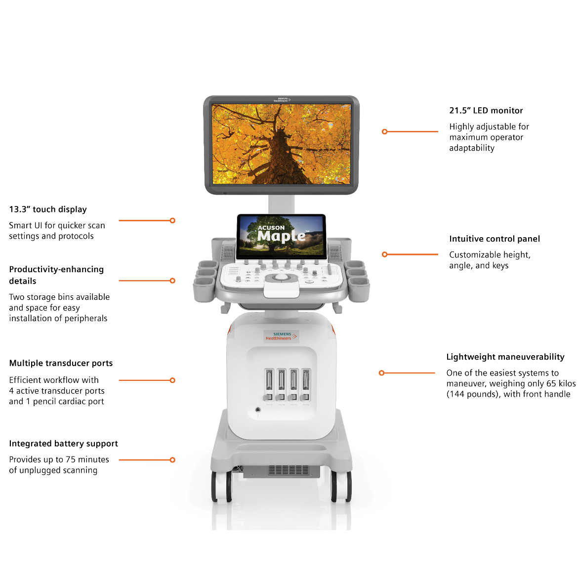 Acuson Maple Ultrasound | Siemens Healthineers | Vet Trade