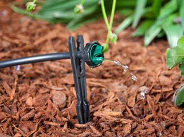 Landscape Design | Bloom Fine Gardening