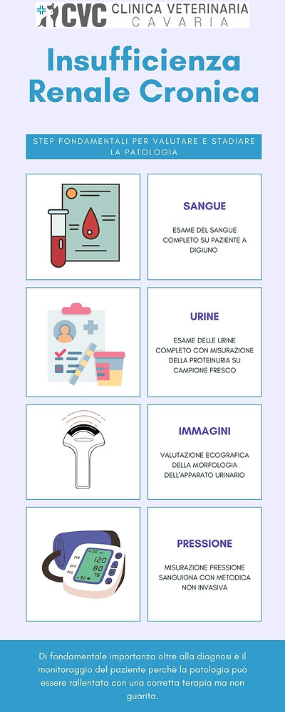 INSUFFICIENZA RENALE CRONICA: SCOPRIAMO INSIEME DI COSA SI TRATTA