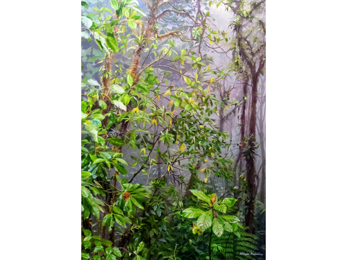 Floresta Ombrófila | Galeria Design.art
