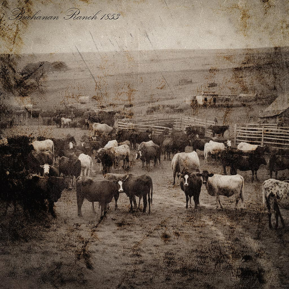 The Legend of Levi 'Lucky' Buchanan