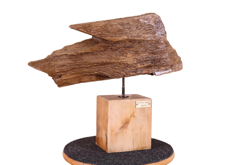 Der Pavian | My Site