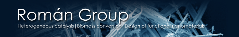 Yuriy Roman MIT - Heterogeneous catalysis @ MIT