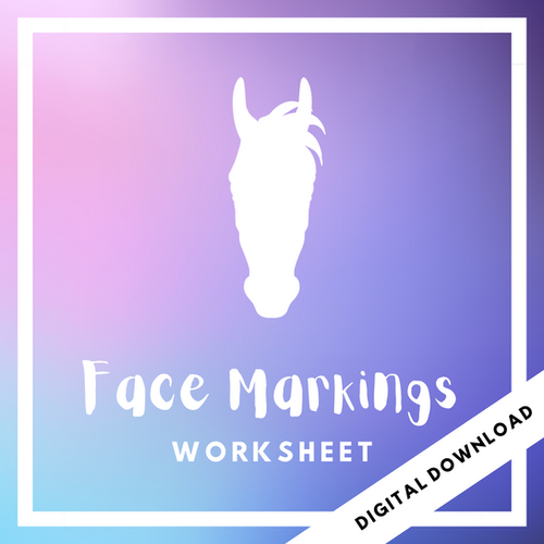 Face Markings - Worksheet & Flash Cards | Paint Pony Studios