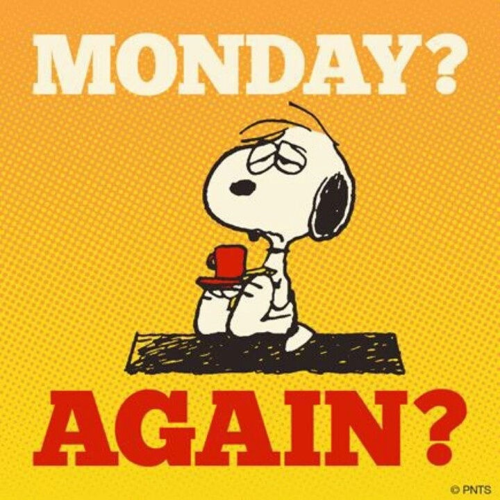 Monday, Monday, Oh No It's Monday Again...